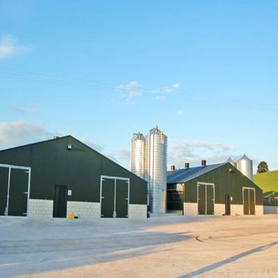China Automated Ventilated Steel Poultry House with Gable Roof for sale