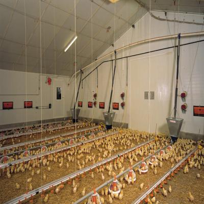 China Automated Steel Poultry House with Fireproof Insulation for sale