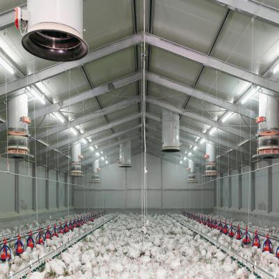 China Fireproof Steel Poultry House with Automated Ventilation System for sale