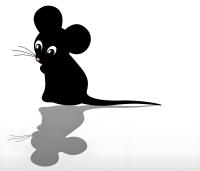 China Mouse Rapid Aqueous Adjuvant for sale