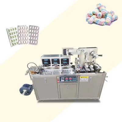 China Stainless Steel Automatic Automatic Tablet Capsule Blister Packing Machine With Servo Motor Drive for sale