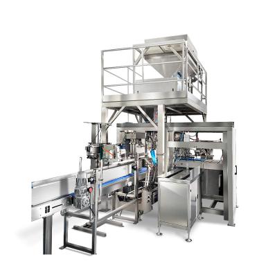 China Manufacturer Fully Automatic Packing Machine Granular Packing System for Open Bag Packing Machine for sale