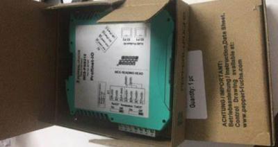 중국 페퍼럴+퓨치 KCD2-STC-Ex1.20 SMART 송신기 전원 공급 판매용