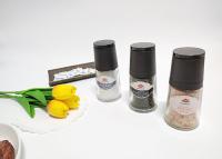 China Customizable Plastic Salt and Pepper Grinder Set Refillable 2-in-1 Mill for sale