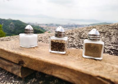 China Conjunto de batedores de temperos personalizáveis de 3 peças com capacidade de 17 ml para temperos perfeitos à venda