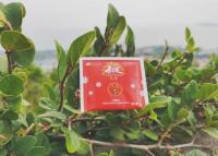 China 5g Single Use White Sugar Packets Customizable Wrapping for Coffee Tea Condiment for sale