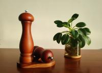 Quality Adjustable Roman Columns Classic Wooden Mill Salt And Pepper Grinder Set Fine for sale