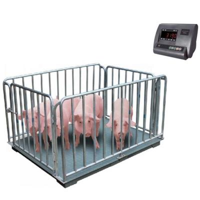 Cina Scala elettronica per pesare il pavimento per animali 1M 2t Scala per suini 3t Precisione per pecore e mucche 0,5kg in vendita