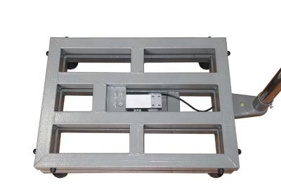 Cina 450*600mm Scala di panca in acciaio inossidabile 100Kg-600Kg con progettazione e supporto personalizzato in vendita