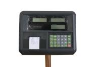 China Indicator A12 OEM Supported Weighbridge and Floor Scale Indicator with Customization for sale