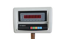 China Optional Display Type 4V/4Ah B6E LED Indicator for Bench and Floor Scale Customizable for sale