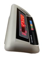 China Optional Display Type 4V/4Ah B6E LED Indicator for Bench and Floor Scale Customizable for sale