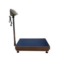 China Customized Digital Electronic Platform Scale with LCD Display and Thermal Printer for sale