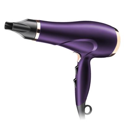中国 ACモーター コンセントレイターのイオン機能の専門の大広間のヘアー ドライヤー 販売のため