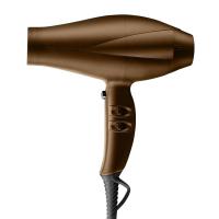 China Far Infrared Ray Ceramic Low Noise Hair Dryer Double Voltage With Ionic Function for sale