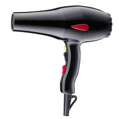 Cina Fon ionico professionale commerciale del salone per il salone Barber Travel in vendita
