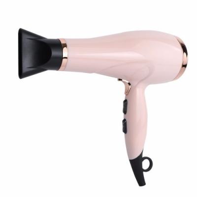 中国 OEMの商業ホテルの世帯のための電気専門の大広間のヘアー ドライヤー 販売のため