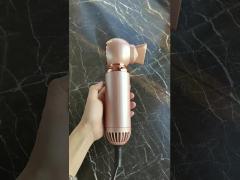 Potere portatile su ordinazione 800W di Logo Ionic Pet Hair Dryer multiuso