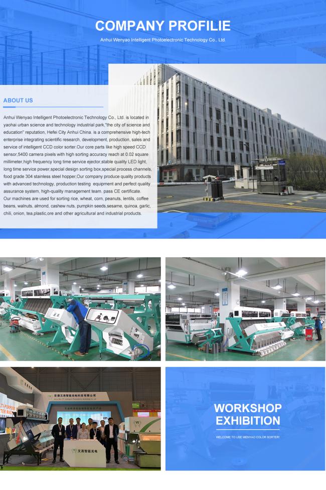 WENYAO intelligent multipurpose grain color sorter machine wheat color sorting machinery for farm processing