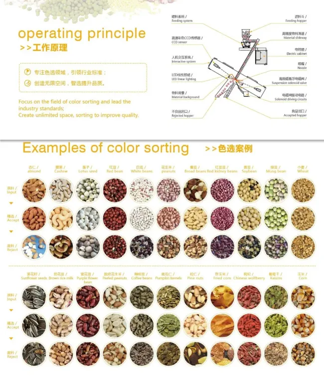 Wenyao Nut Hazelnut Color Sorter Machine Corn Pepper Almond Color Sorting CCD Color Sorter