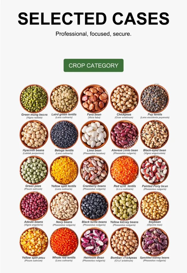 Wenyao Nut Hazelnut Color Sorter Machine Corn Pepper Almond Color Sorting CCD Color Sorter