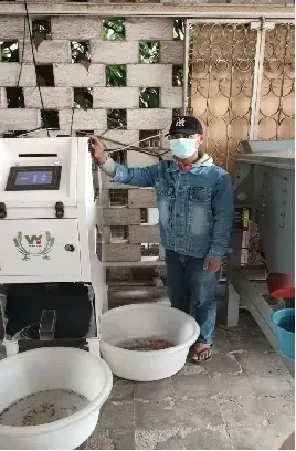 Wenyao Nut Hazelnut Color Sorter Machine Corn Pepper Almond Color Sorting CCD Color Sorter