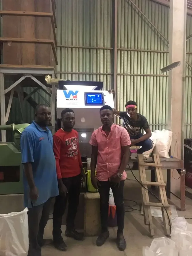 Wenyao Nut Hazelnut Color Sorter Machine Corn Pepper Almond Color Sorting CCD Color Sorter