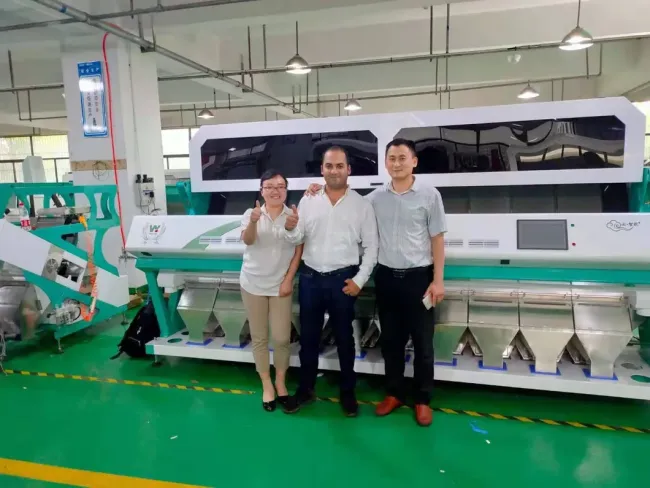 Wenyao Nut Hazelnut Color Sorter Machine Corn Pepper Almond Color Sorting CCD Color Sorter