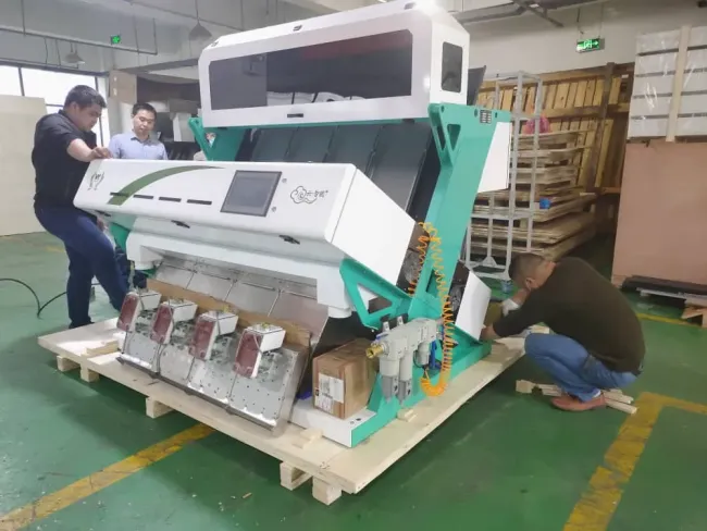 Wenyao Nut Hazelnut Color Sorter Machine Corn Pepper Almond Color Sorting CCD Color Sorter