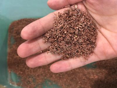 China Hochgeschwindigkeitsgurt einer/zwei Schichten CCD-Farbsortierer-für Mineralglaskupfer Alu zu verkaufen