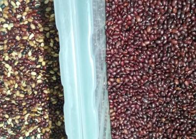 China Soya Bean Color Sorter High Output For Grain Rice Nuts Rice for sale