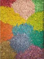 China Plastic PET Color Sorting Machine 99.98% Accuracy for sale