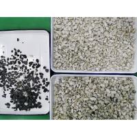China Wenyao Rice Grain Coffee Bean Color Sorter Machine Automatic Computing for sale
