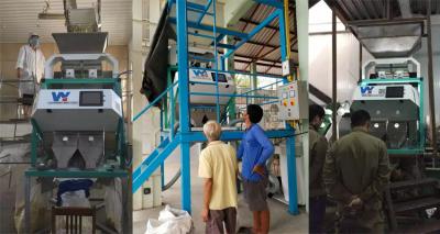 China Smart 8 Chutes Wheat Paddy Grain Color Sorter CCD Optical CE ISO9001 CE for sale