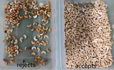 China De Sorteerder van de het Materiaalkleur van de nootverwerking met CCD-Camera LEIDEN Licht Te koop