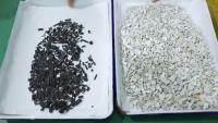 China Plastic Color Sorting Washing Machine PET Drinking Plastic Recycling for sale