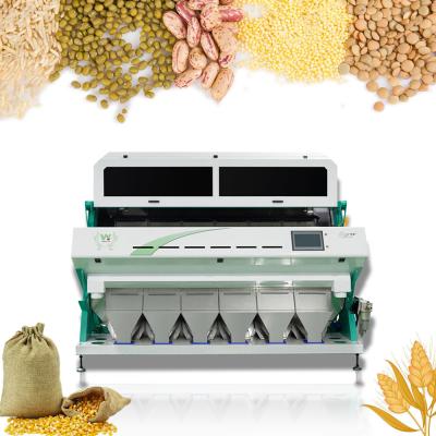 China Intelligent Digital Mini Grain Color Sorter For Hazelnut Sesame Tea Separation for sale