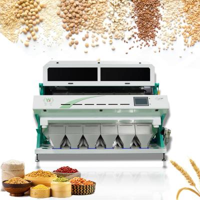 China Intelligent Digital Mini Grain Color Sorter For Hazelnut Sesame Tea Separation for sale