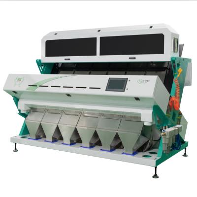 China Intelligent Digital Mini Grain Color Sorter For Hazelnut Sesame Tea Separation for sale