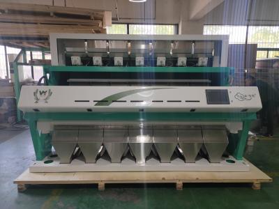 China Sortador de cores de arroz de alta capacidade 0,3 - 0,9 t/h 2 anos Precisão de triagem 99,5 - 99,9% à venda