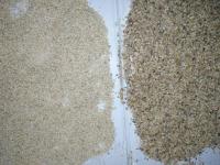 China 1 - 10 Channels Color Sorting Machine Grain Processing Colour Sorter for sale