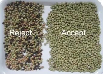 Cina 1 - 10 Canali Color Sorting Machine Processing Grain Color Sorting in vendita