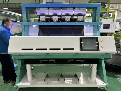 China Superior Wheat Color Sorter Multi Function CCD Camera Color Sorter For Grain Rice Wheat Coffee Beans Peanut for sale