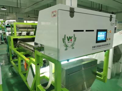 China Intelligent Peeled Garlic CCD Belt Color Sorter Customizable for sale