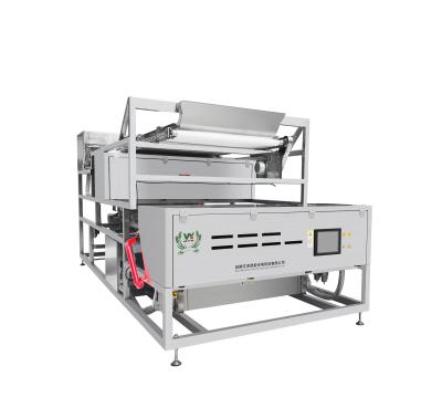 China Stainless 304 Food Grade Hopper Lingonberry Color Separating Machine for sale