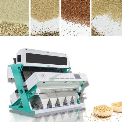 China Wenyao 5 Chute Color Sorting Machine Intelligent Sesame Color Sorter for sale
