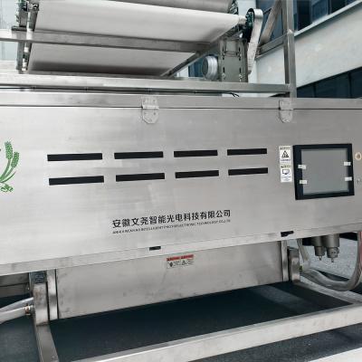 China High Accuracy High Efficiency Waterproof 304 Material  Dry Ore Wet Ore Belt Color Sorter Machine for sale