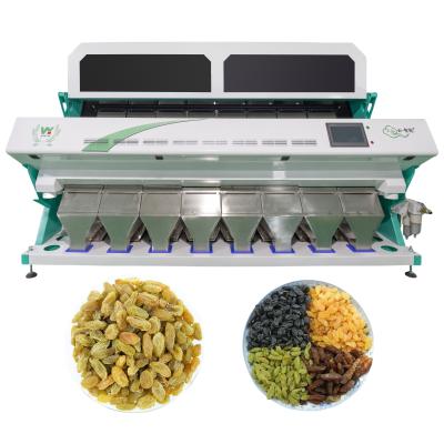 China Wenyao Raisin Color Sorting Machine High Processing Speed Nuts Color Sorter for sale