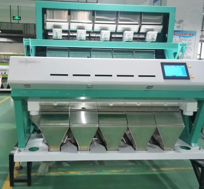 China AI Intelligent Smart Peeled Blanched Groundnut Peanut  Color Sorter for sale