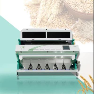 China Buckwheat Barley Wheat Lentil Optical Colour Sorter Coffee Cleaning Color Sorter Machine Grain Wheat Grading Color Sorter for sale